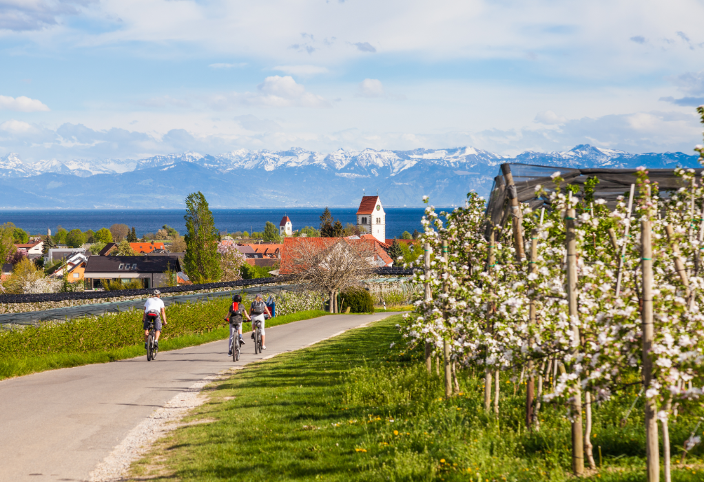 Lake Constance 6-Day Moderate | Rooster Bike Tours